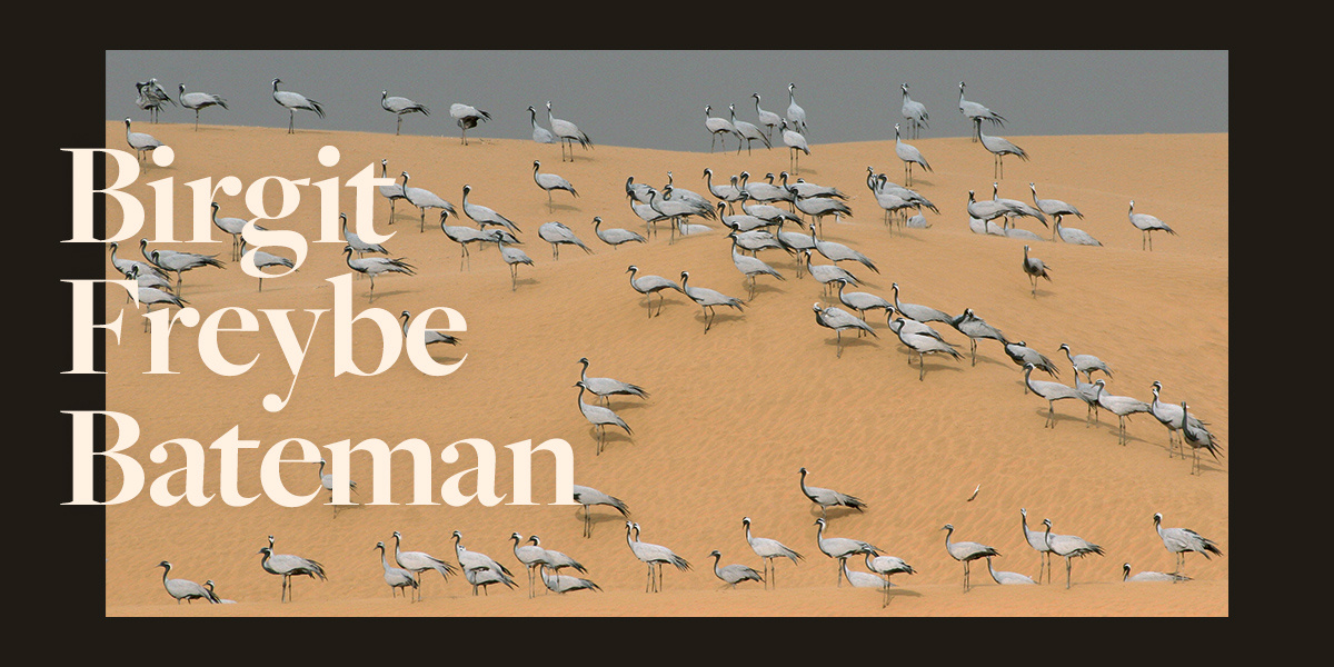 portfolio — Birgit Freybe Bateman Photography