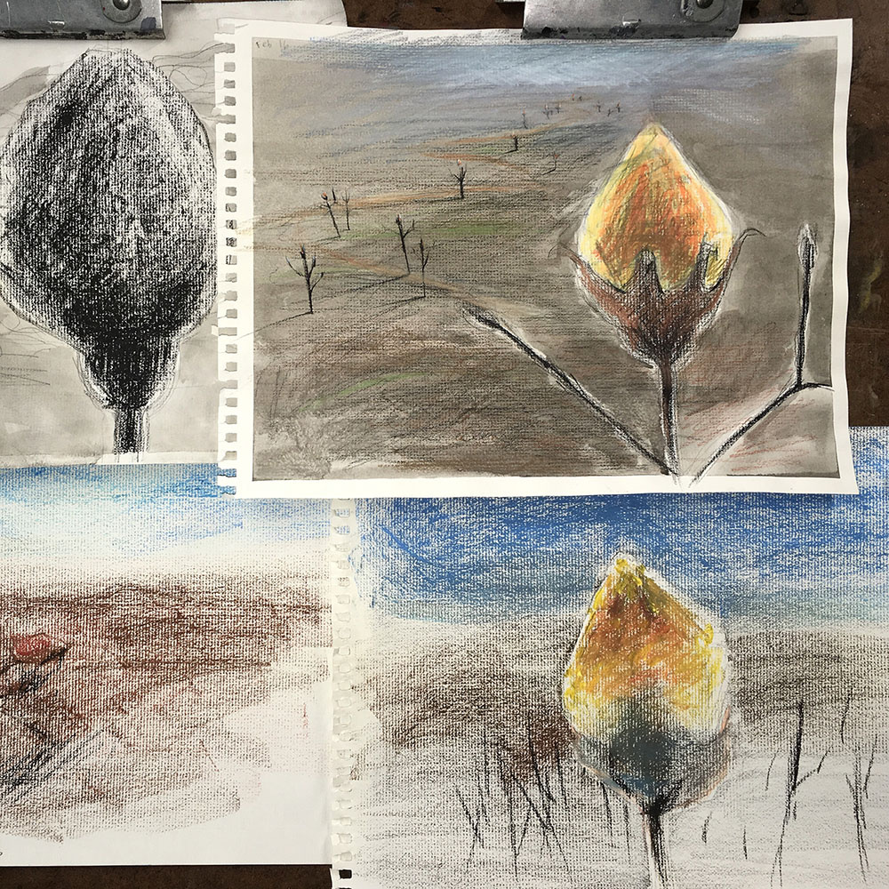 Susan Snipes - artist, designer, storyteller