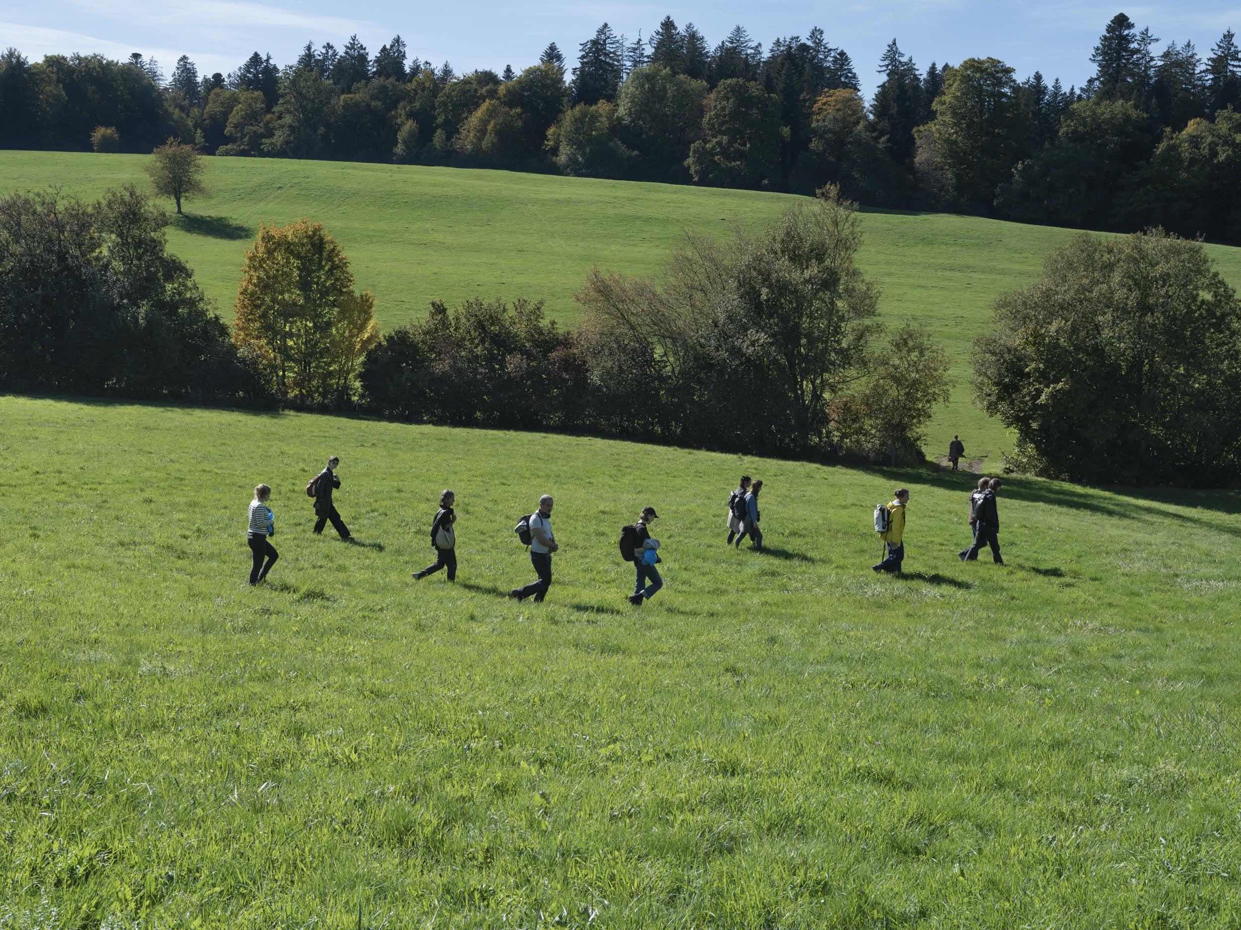 Performing Landscape