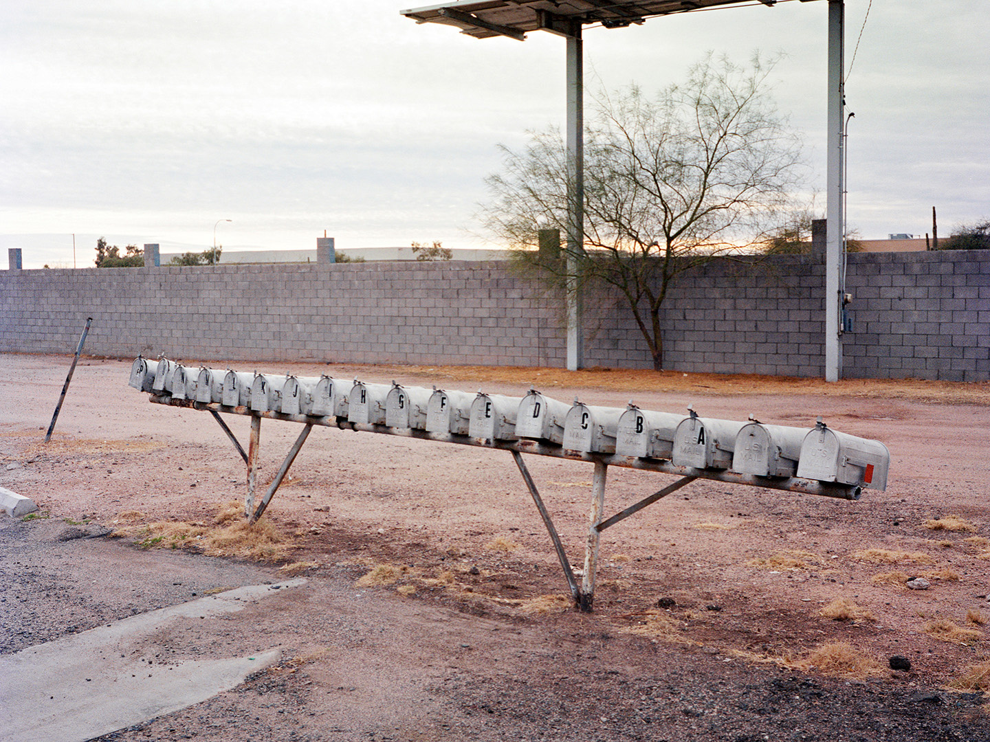 Evan Patrick Maloney