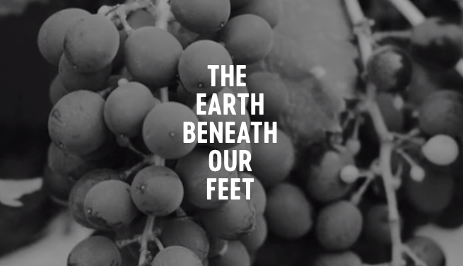 The Earth Beneath Our Feet