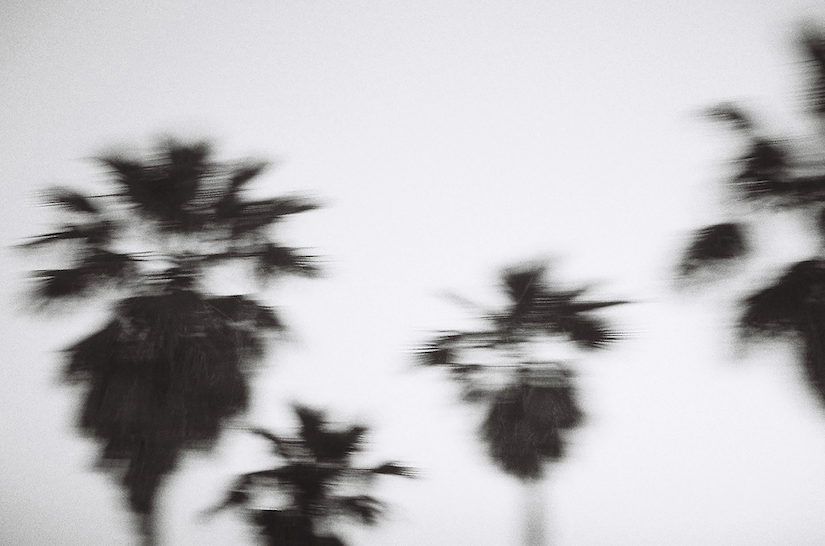 David Frew – Graphic Designer