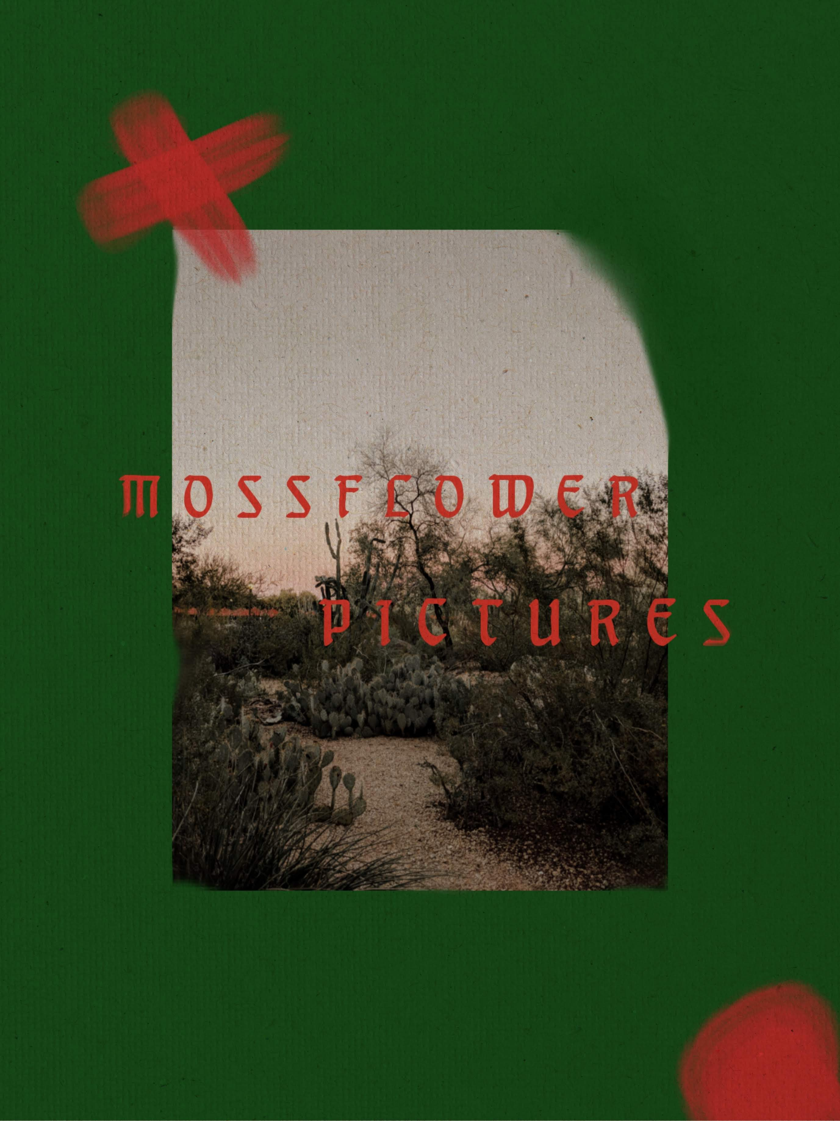 CHAPTER 1 — Mossflower Pictures