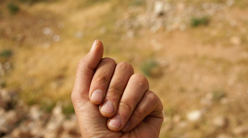 Dwellarium — Dima Mabsout