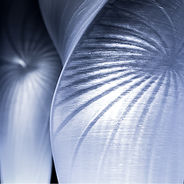 ECHO CHEN design studio