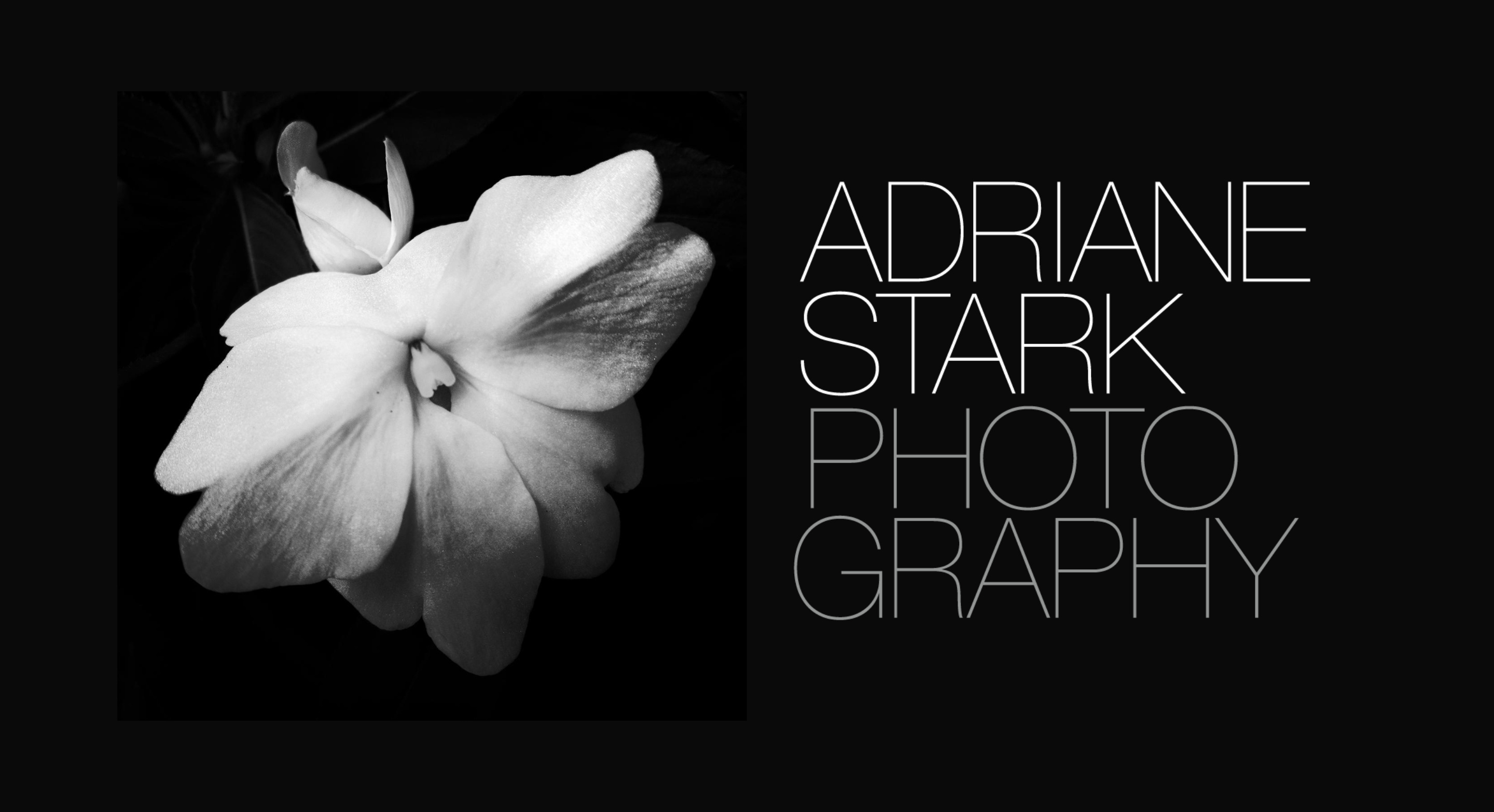 MENU — STARK STUDIO - Stark Nature Photography