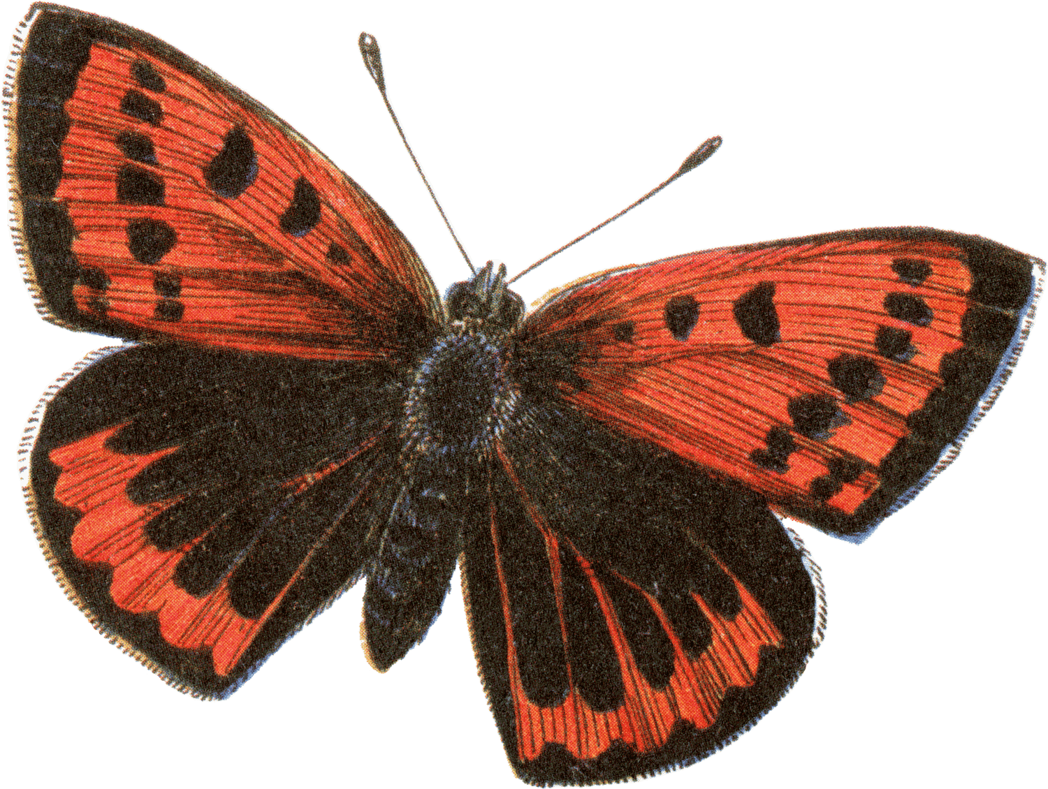 objects and things — Daniel's Website