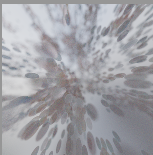 checkpoint — otis gordon