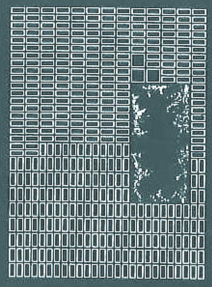 Main — Second Nature