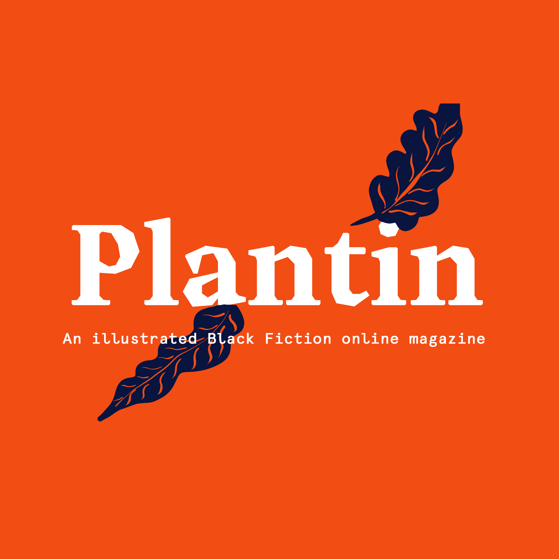 Stories Gallery — Plantin