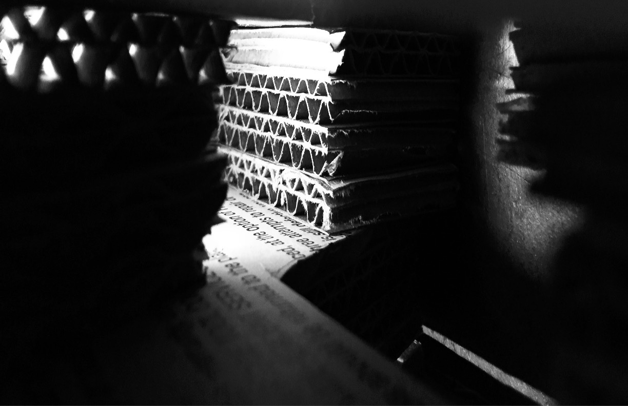 nicole messner portfolio