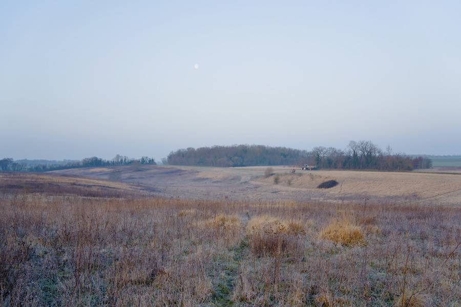 Mathieu Lion | portfolio