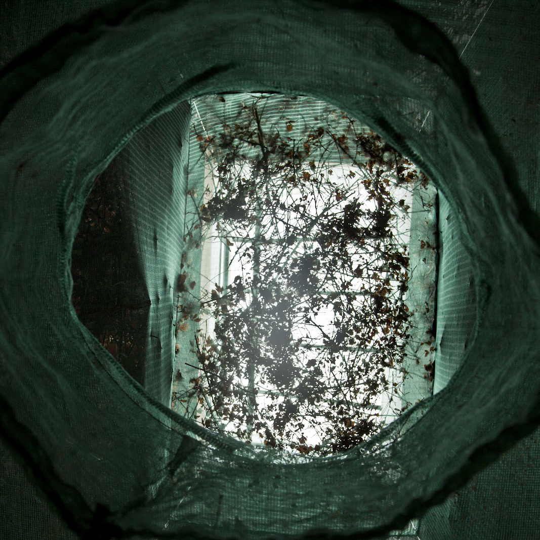 Installation — Robert Pettena