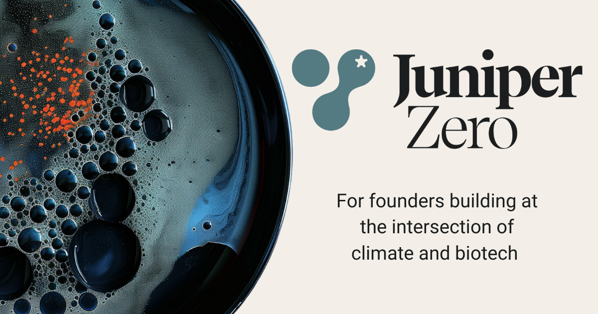Juniper Zero
