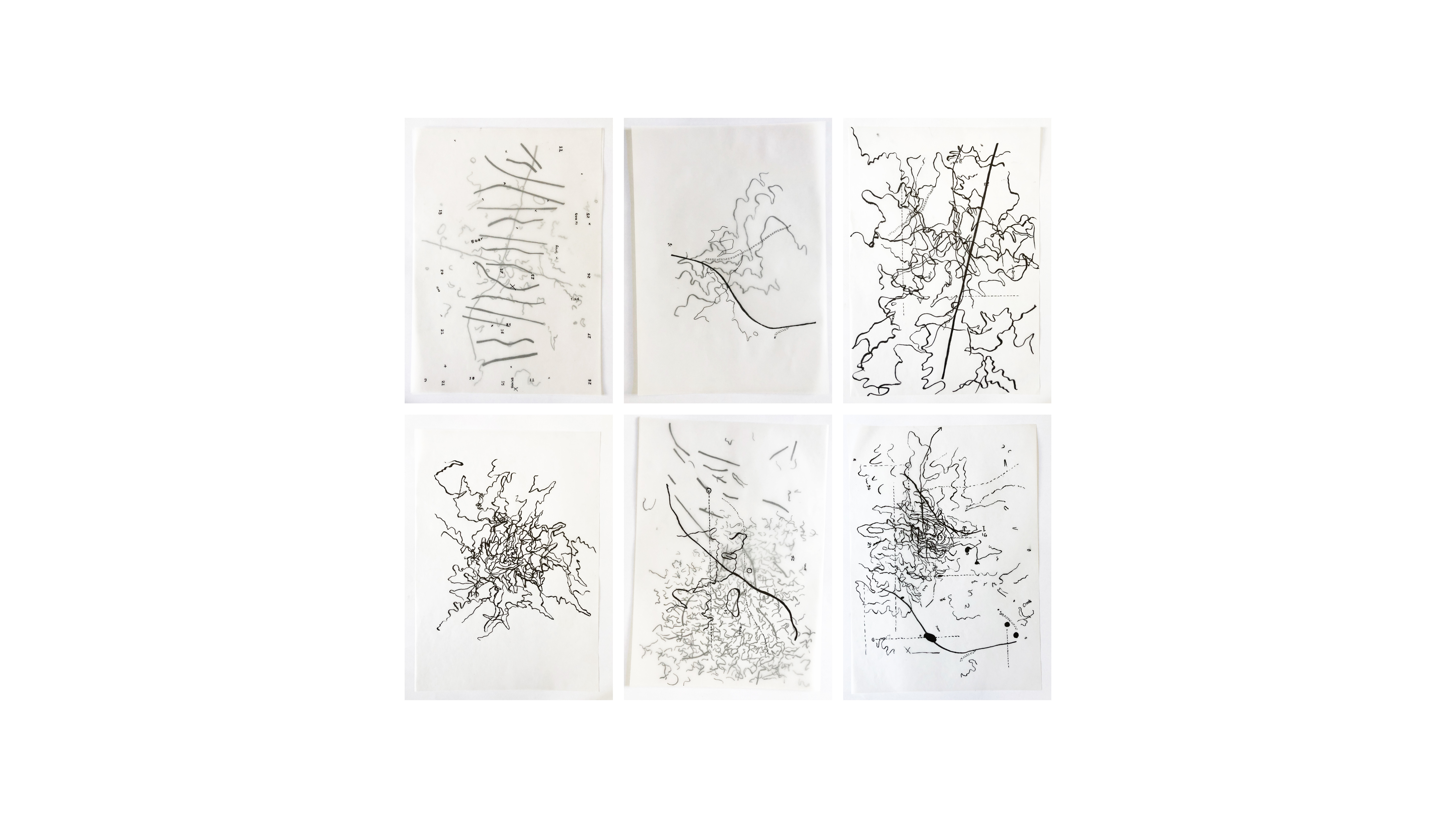 Lauda Virginia Vargas