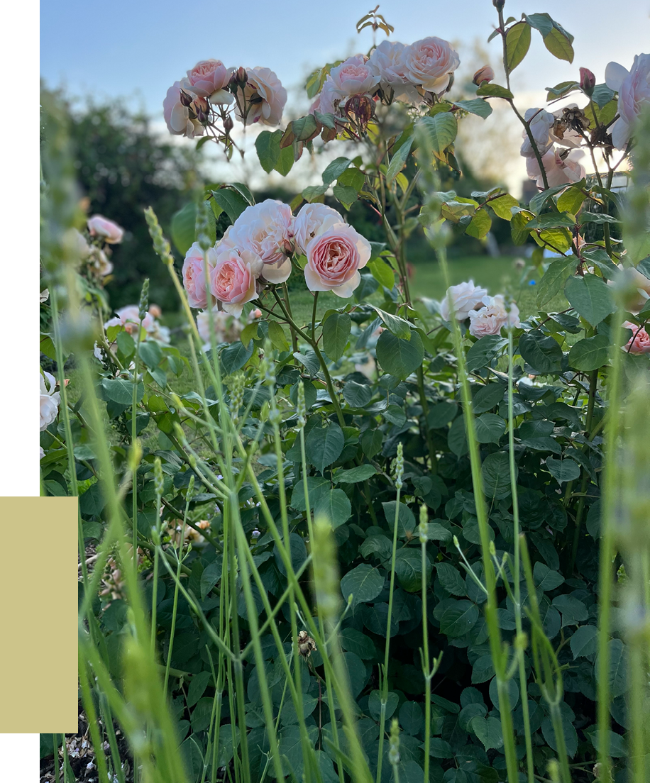 ABOUT — Lottie Delamain