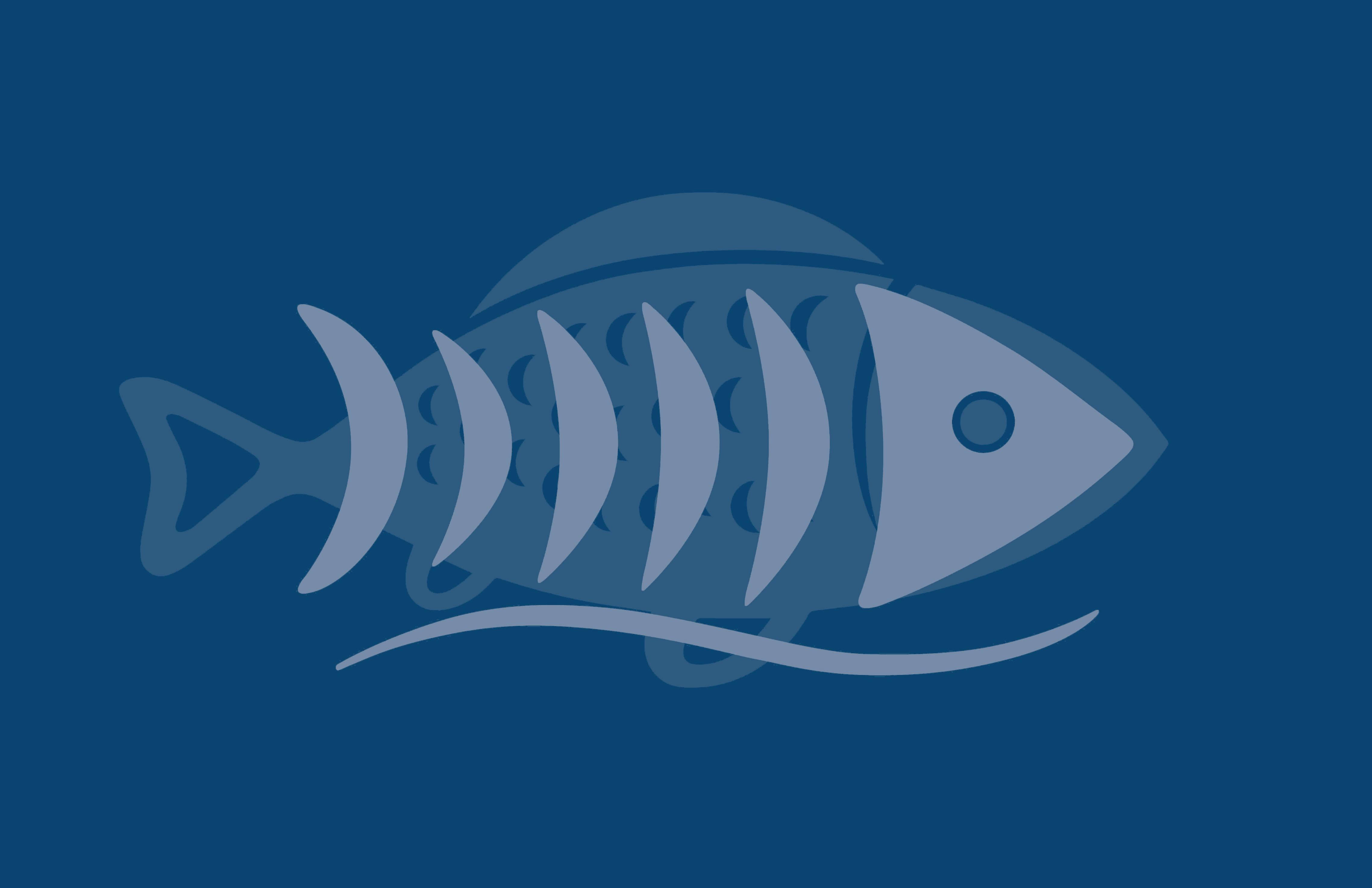 Amo Hamza Seafood — grafficsignals