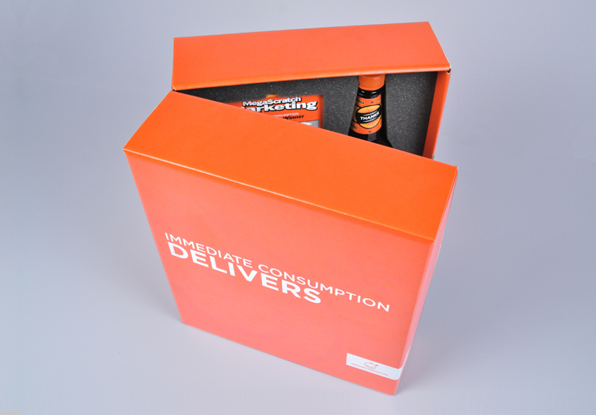 Agency Self Promotion Kit — shannonlyons.com