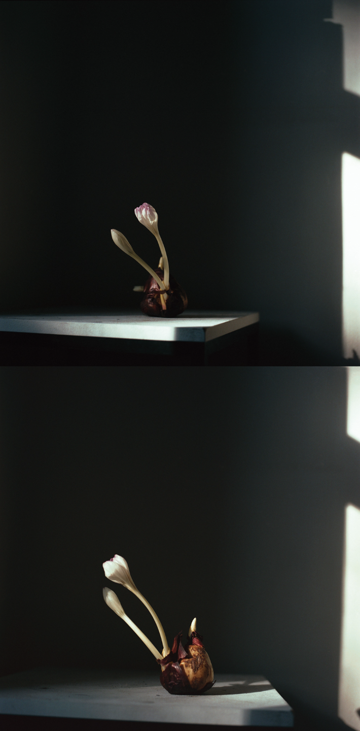 Centerfold — carlyries