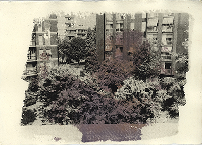 windows — Flora Deborah