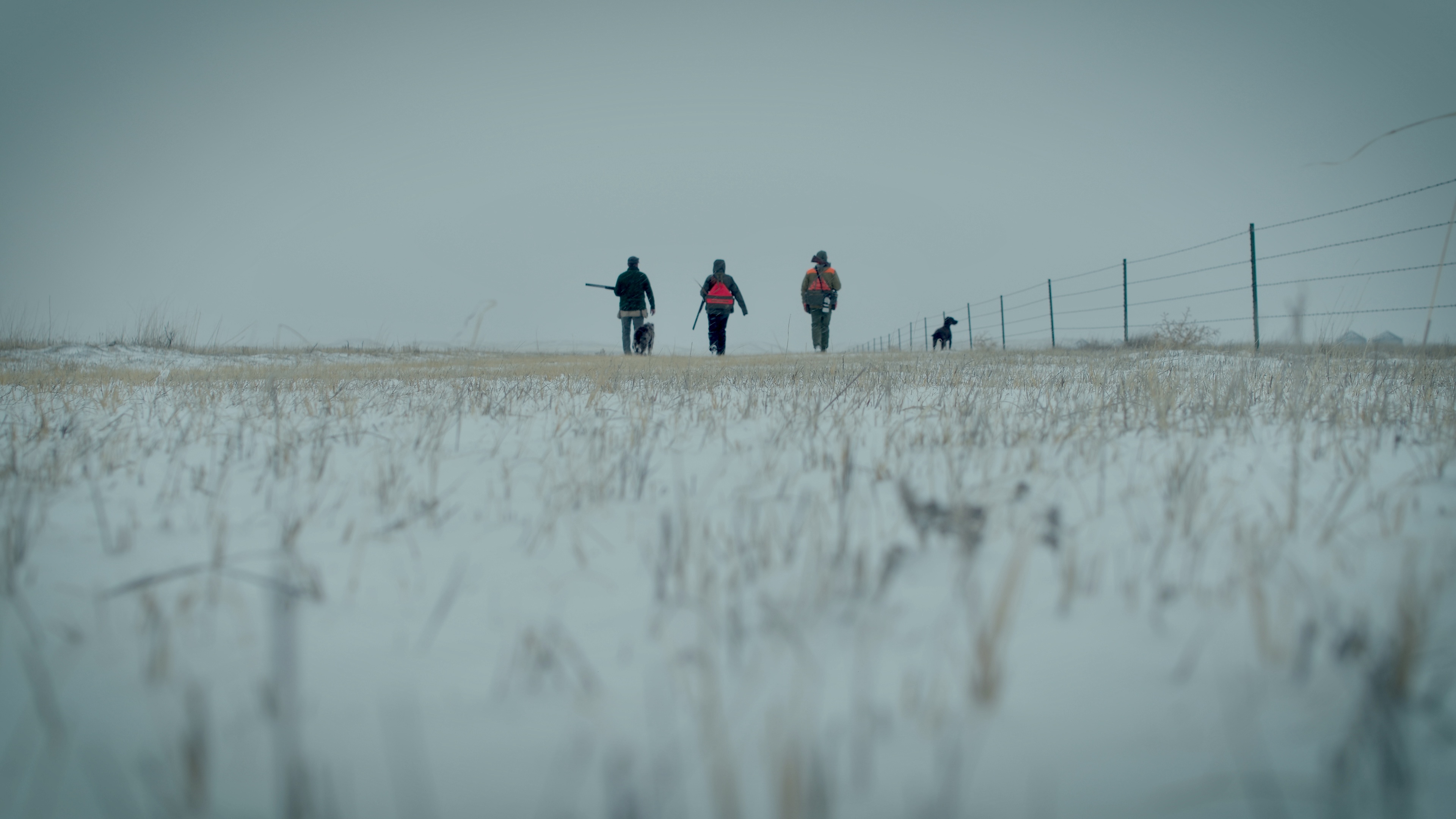 Tailgate Tales: Amber Blazina — Jasper Poore - Director of Phography