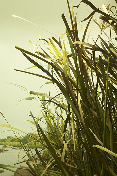 personal - Daar is 'n slang in die gras — Inge Prins Photographer