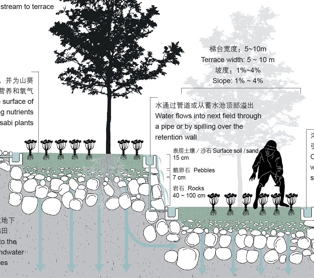 Publications & Performances — Félix de Rosen