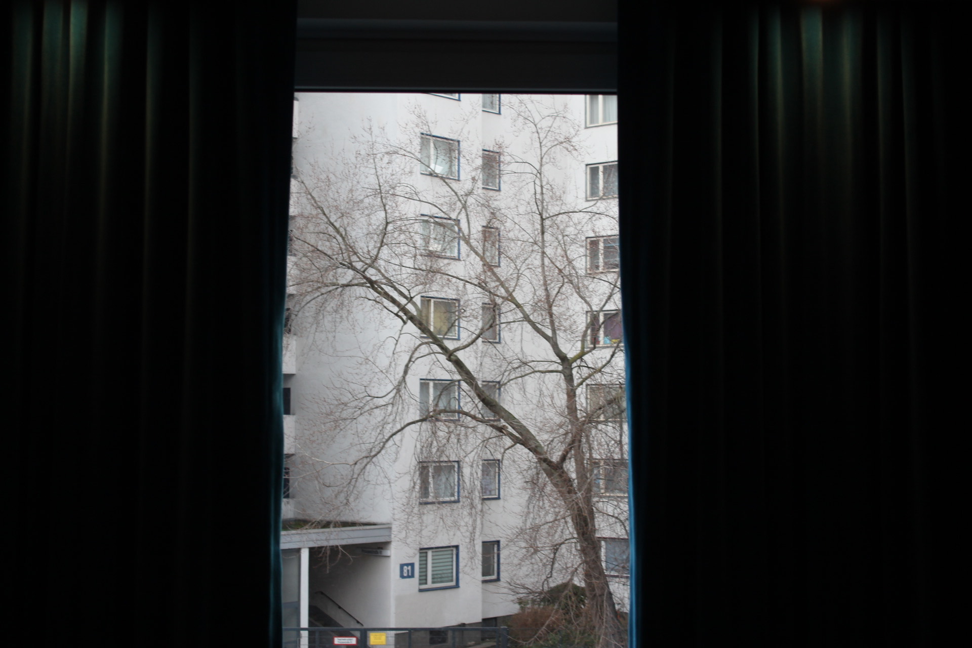 Gallery — Lydia Hickey