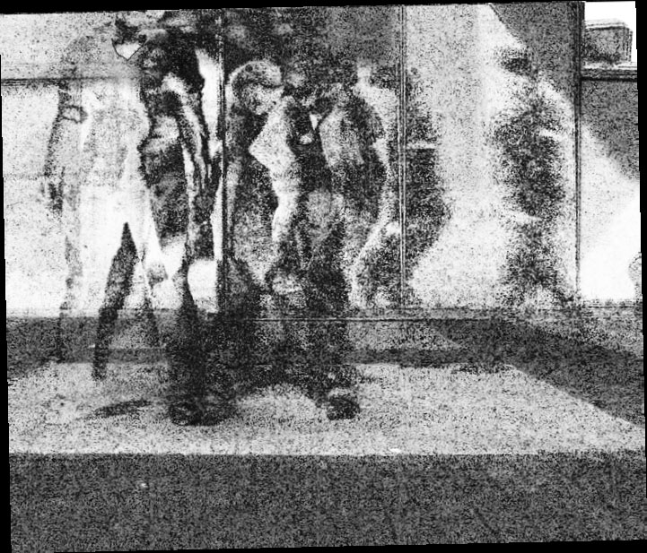 Project Gallery — Irene E. Brisson