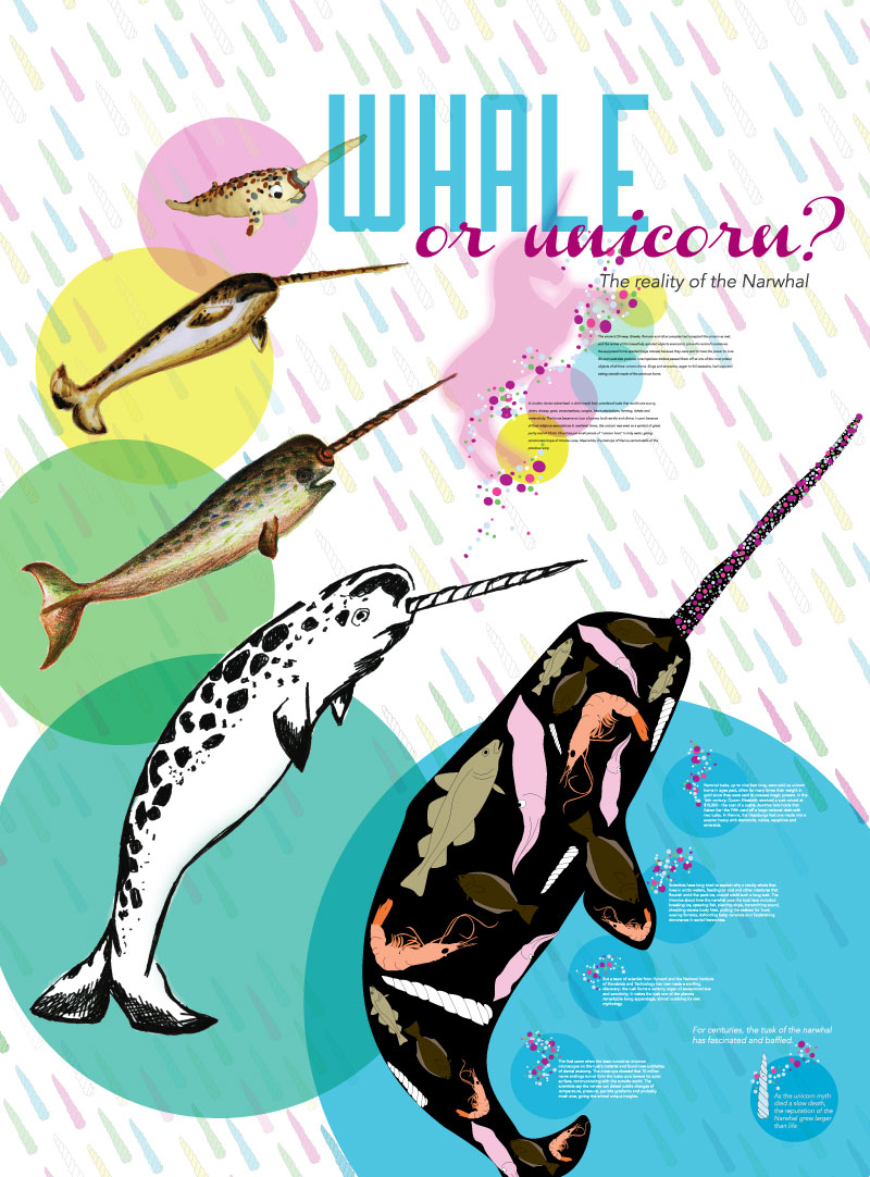 Narwhal Poster — Janelle Flores Sr.Product Designer/UX