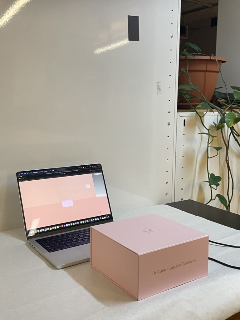 Physical Computing — Anna Nikaki Portfolio