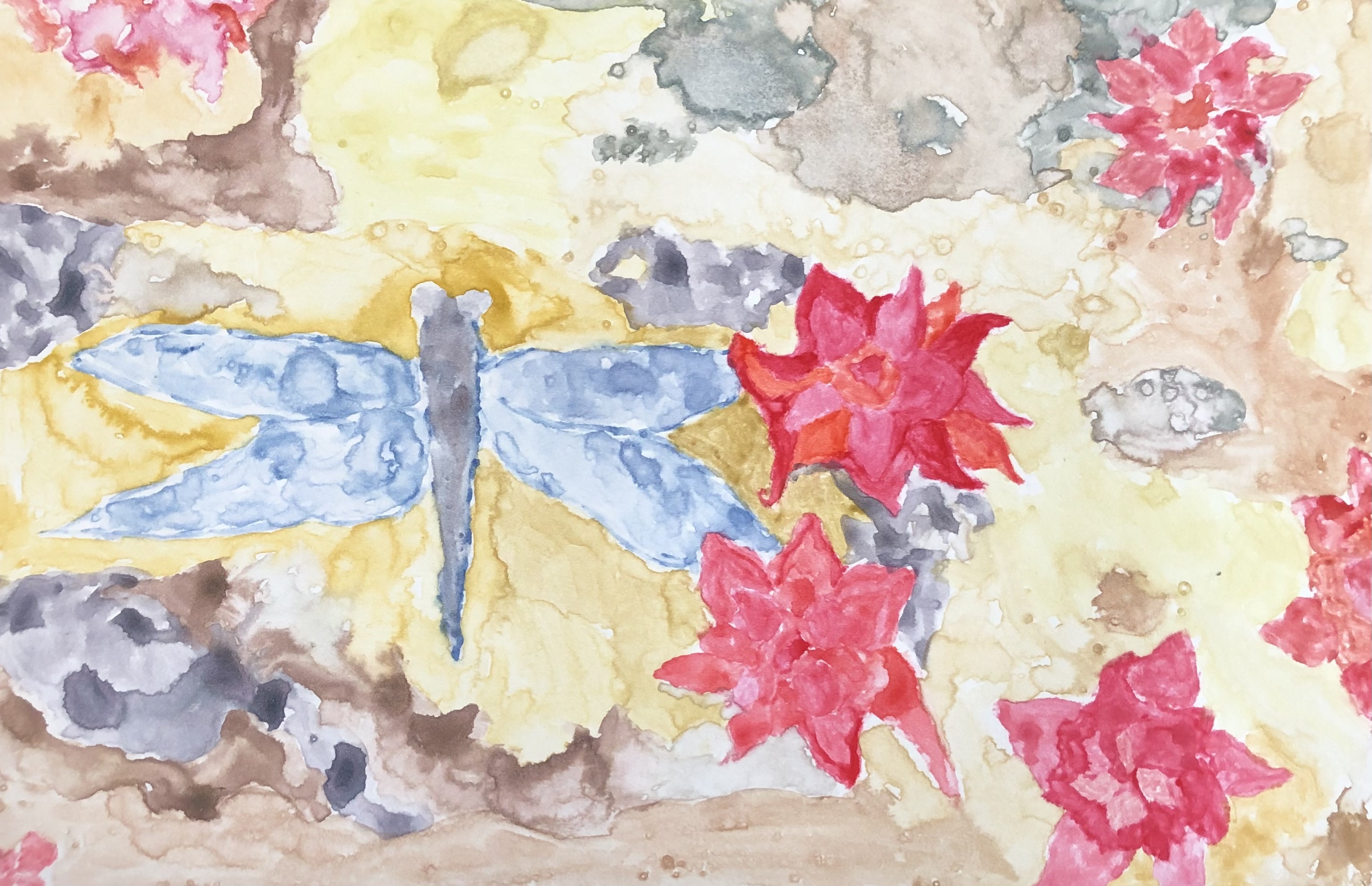 prints — cedar heffelfinger