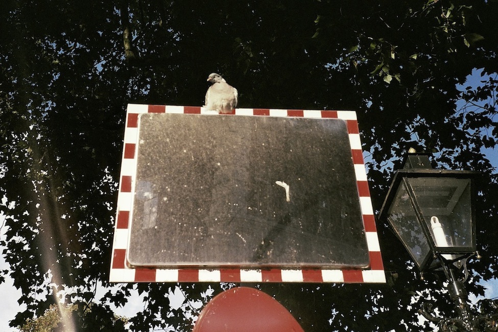 Here & There — Lee Chang Ming - Artist & Photographer