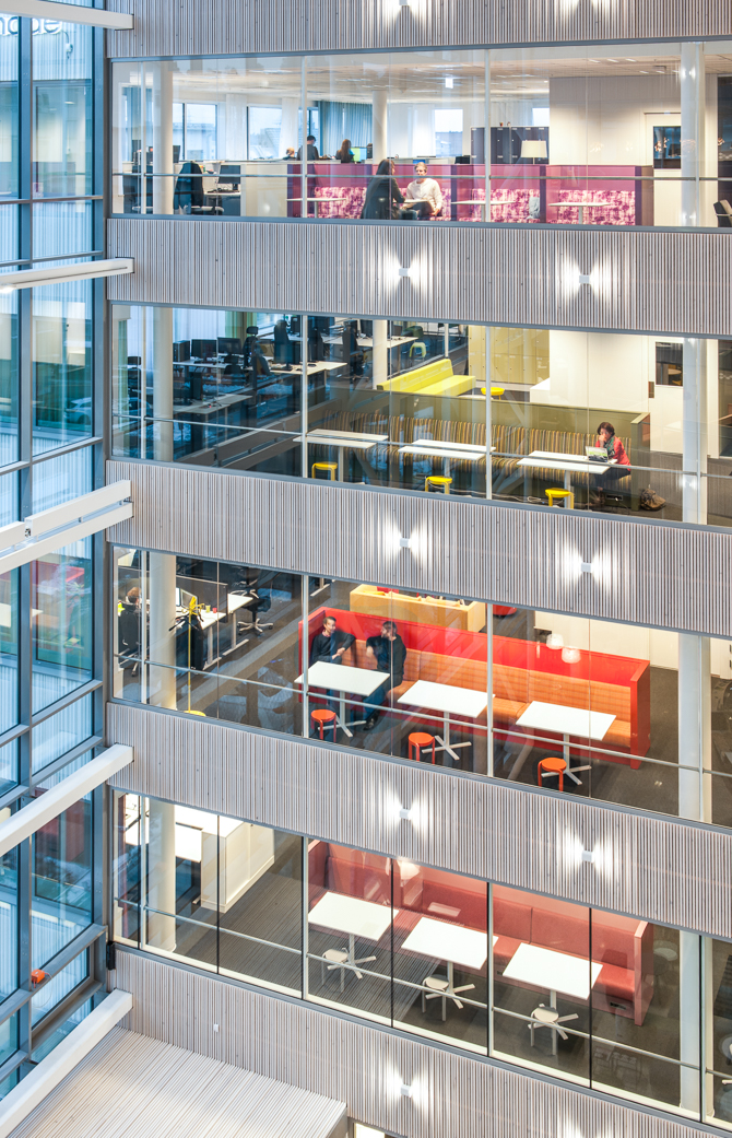 Bisnode — Jason Strong Photography