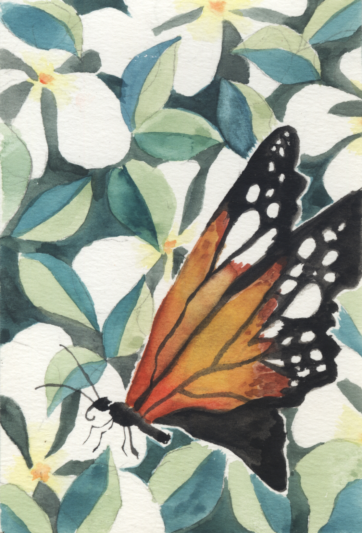 Featured Work — Irit Mogilevsky Art and Illustration