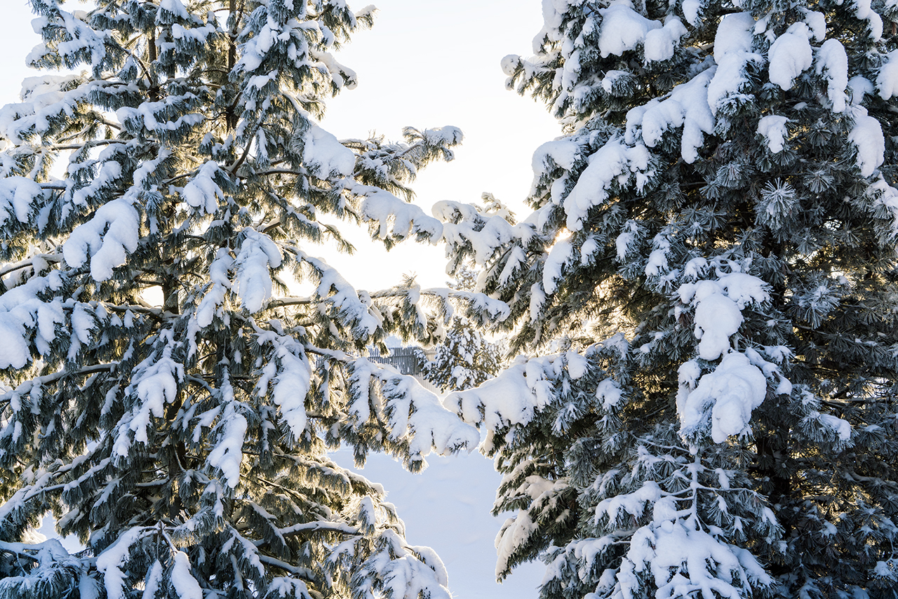 北 | Arctic — keyingchen