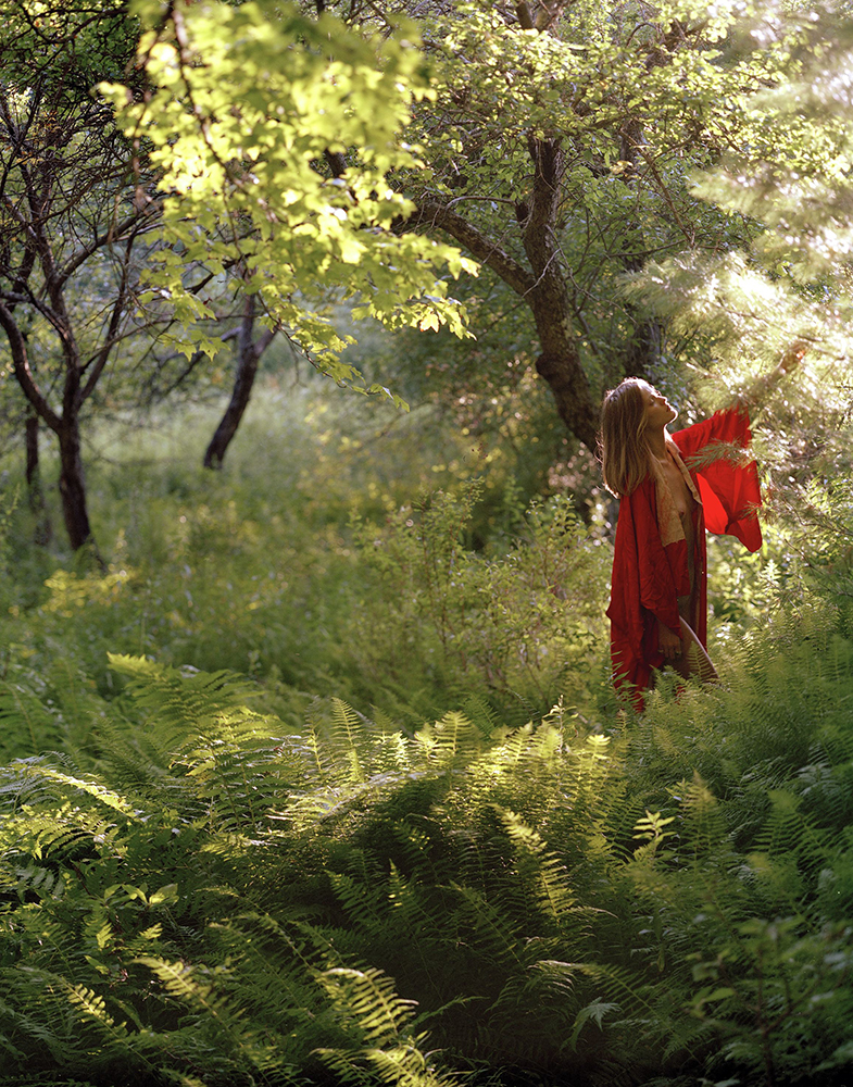 amanda heck photography