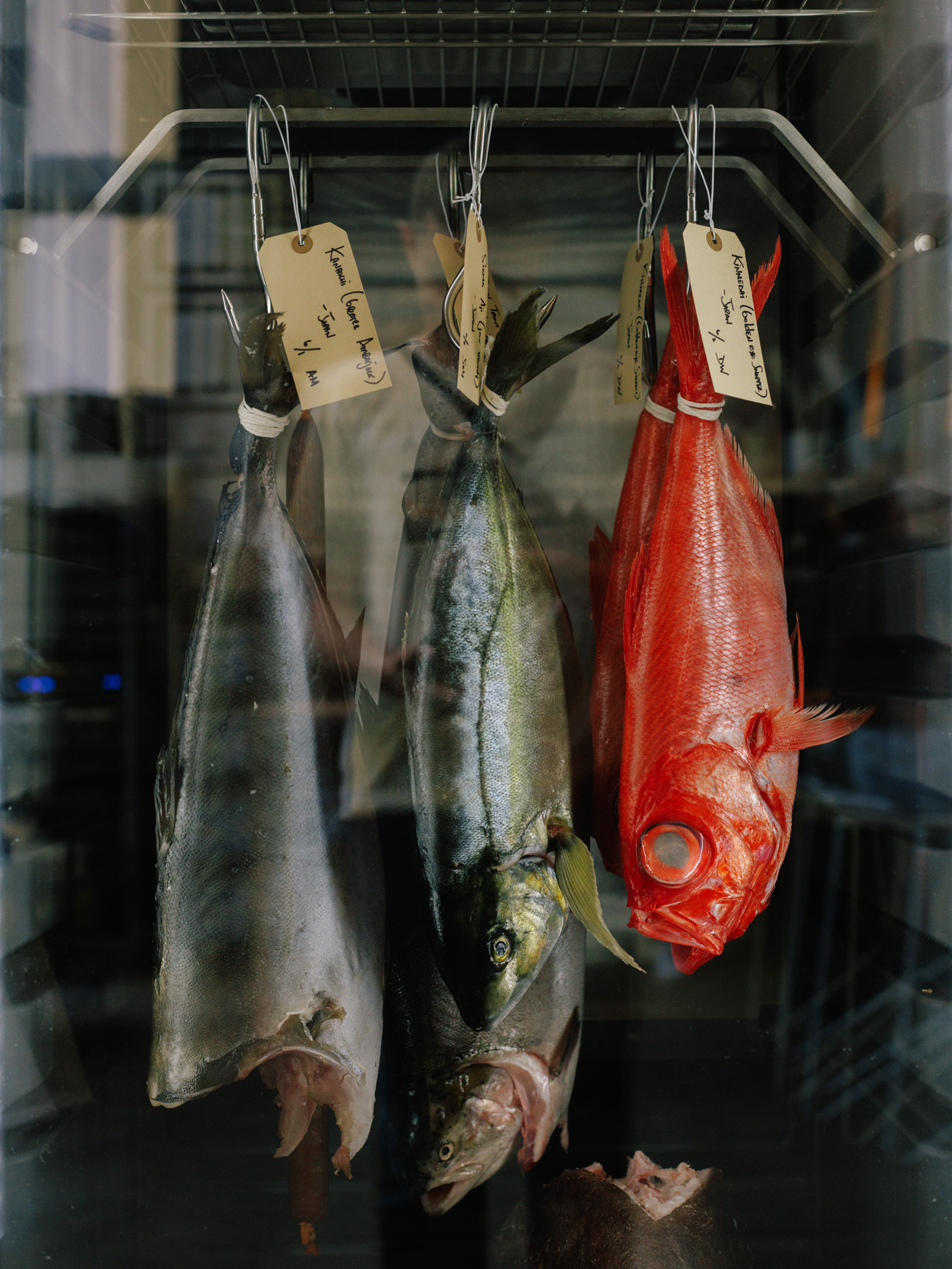 James Jackman, Photographer