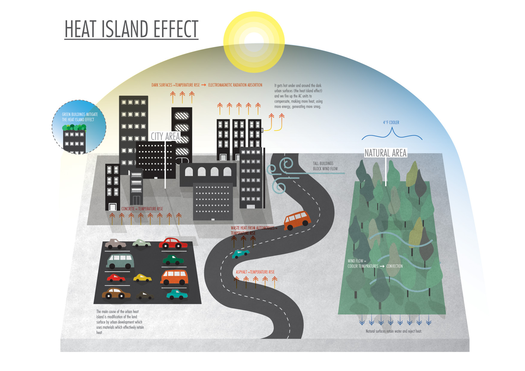 Heat island effect — Rachel Sender