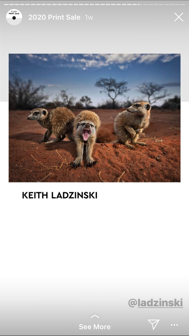 The Photo Society — Krista Schmidt