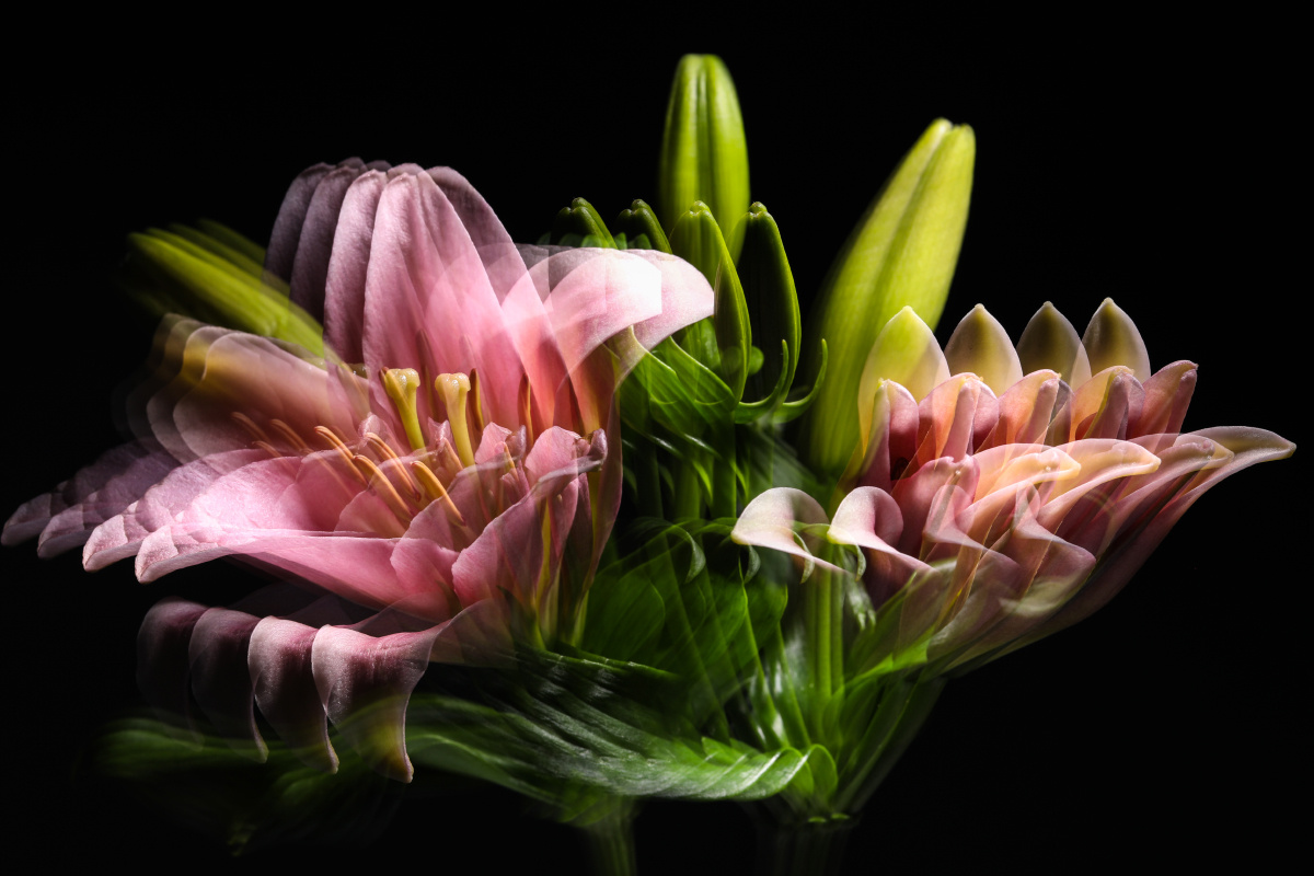 No Filter Creative Book — Elena Kulikova