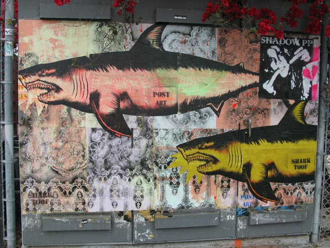 Shark Toof, Shark Season Continues, Santa Monica — unurth