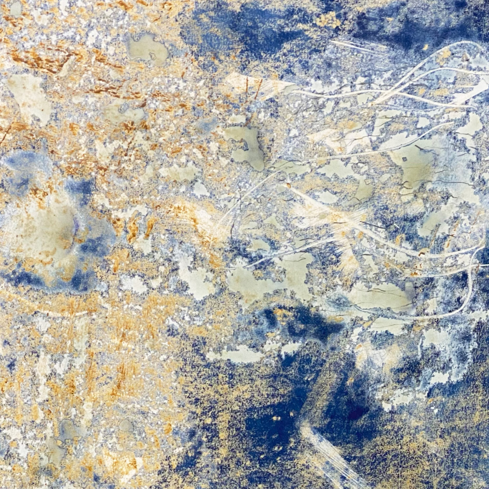 Projects — Susan Snipes - artist, designer, storyteller