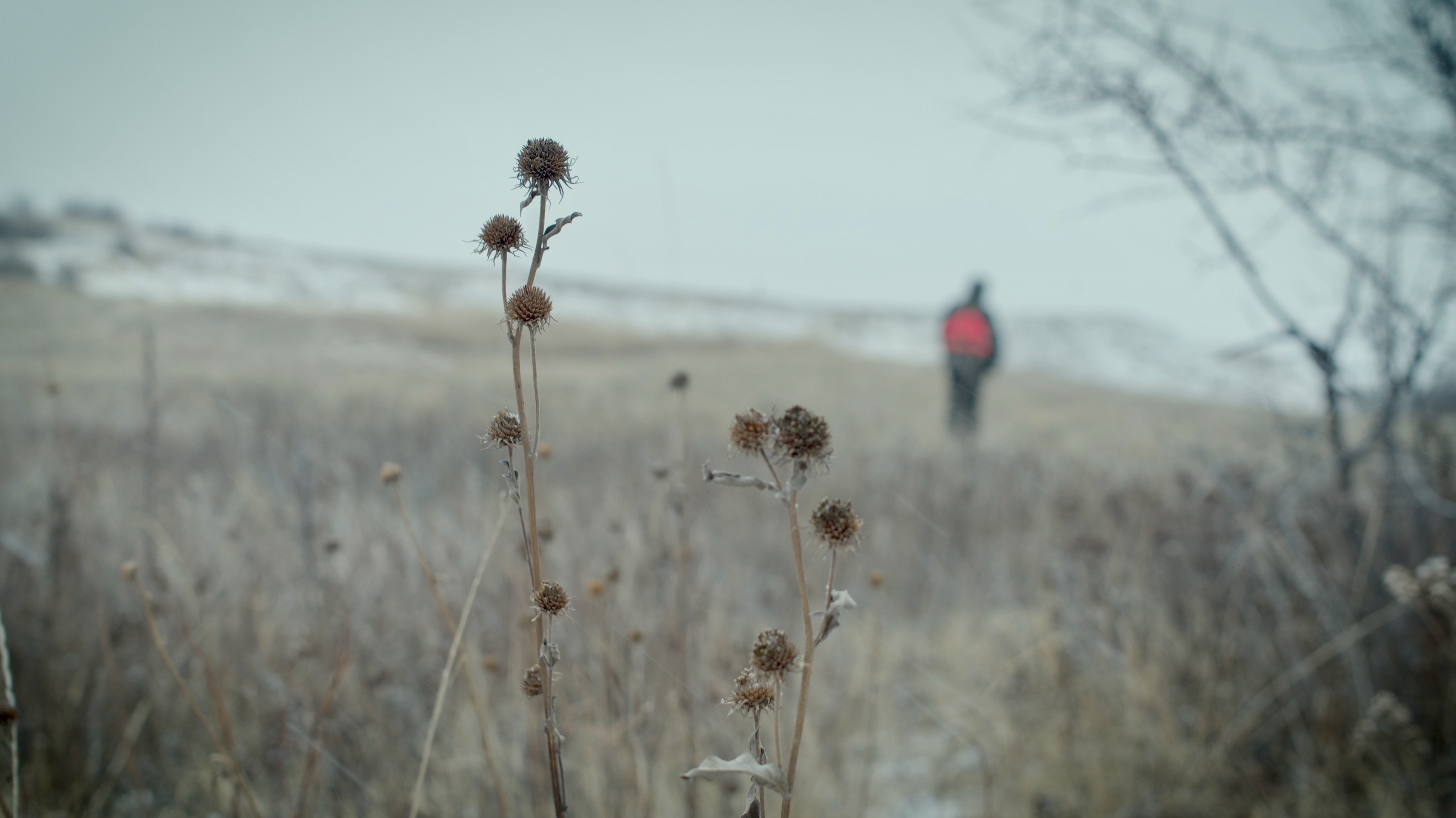 Tailgate Tales: Amber Blazina — Jasper Poore - Director of Phography