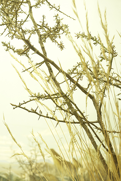 personal - Daar is 'n slang in die gras — Inge Prins Photographer