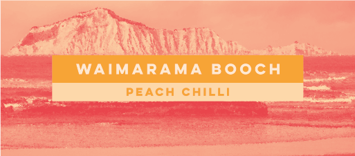 Beach Booch | Hard Kombucha