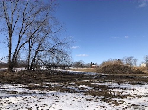 Green_Dorm — Yinuo Han | Violet