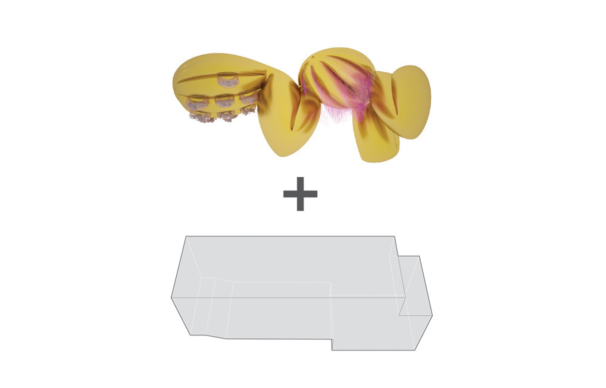 Pigs in a Box — The LADG