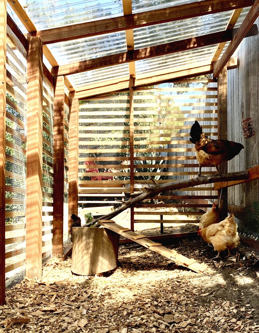 Chicken Coop — BAD STUDIO