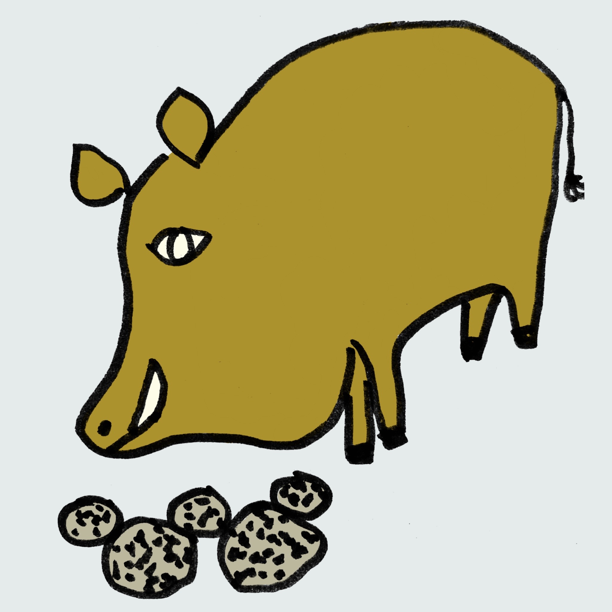 sketchbook/ studio — Molly Fairhurst .com